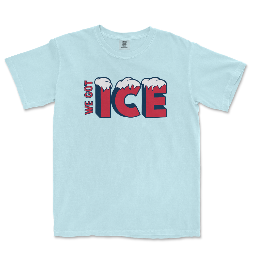 We Got Ice Team Shirt | Comfort Colors Tee | Premium Quality | Printed ...